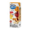 Jugo de Multifruta Biofrut 1 lt - arjosimarprod