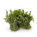 Lechuga Capuchina 500 gr. - arjosimarprod